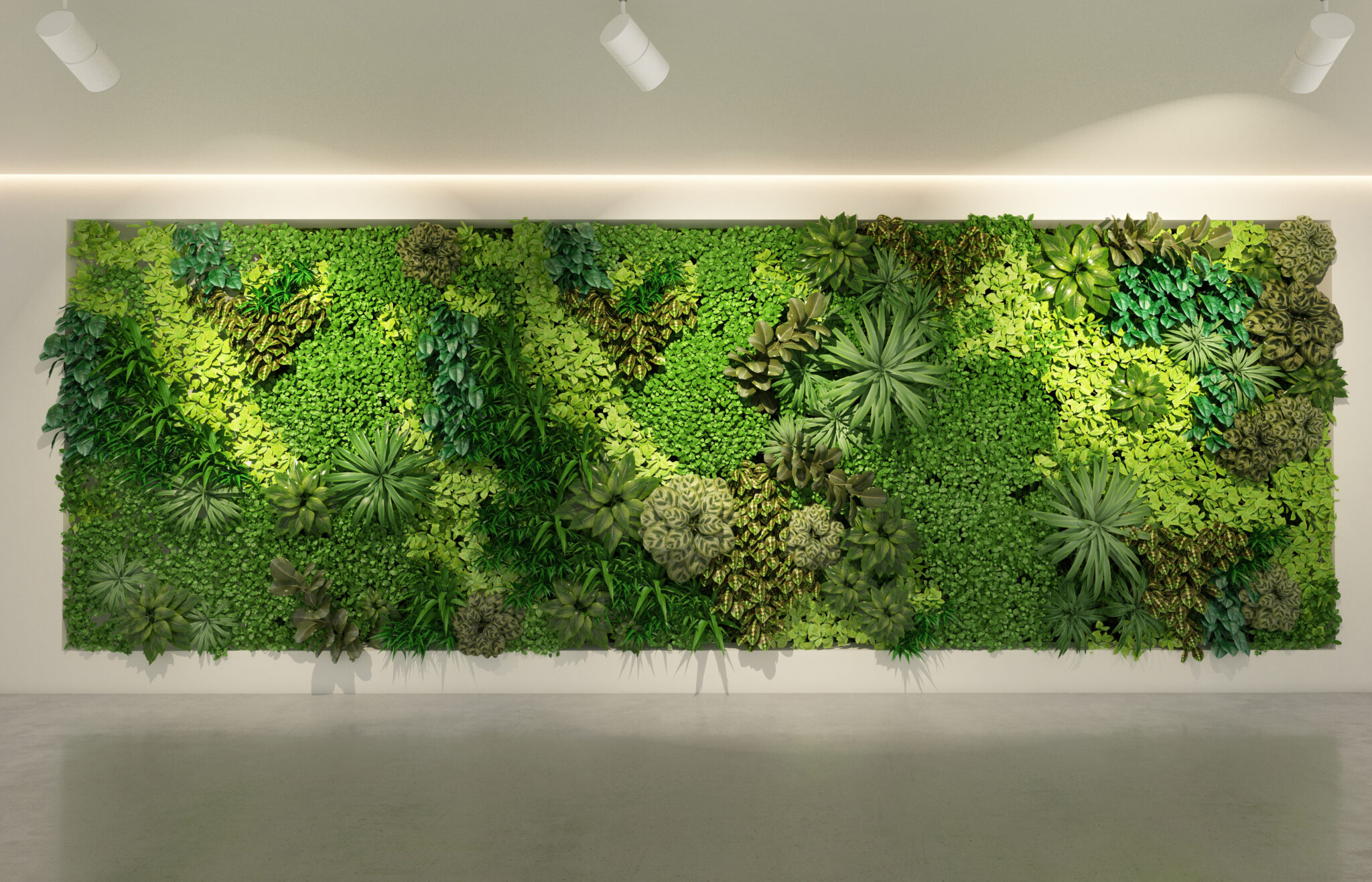 Residential Green Wall: Everything You Need to Know | Epic Energy