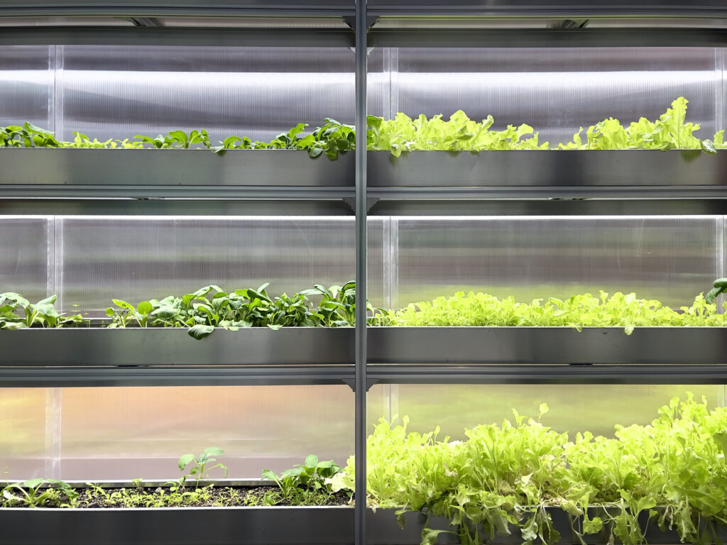 Residential Green Wall: Everything You Need to Know | Epic Energy