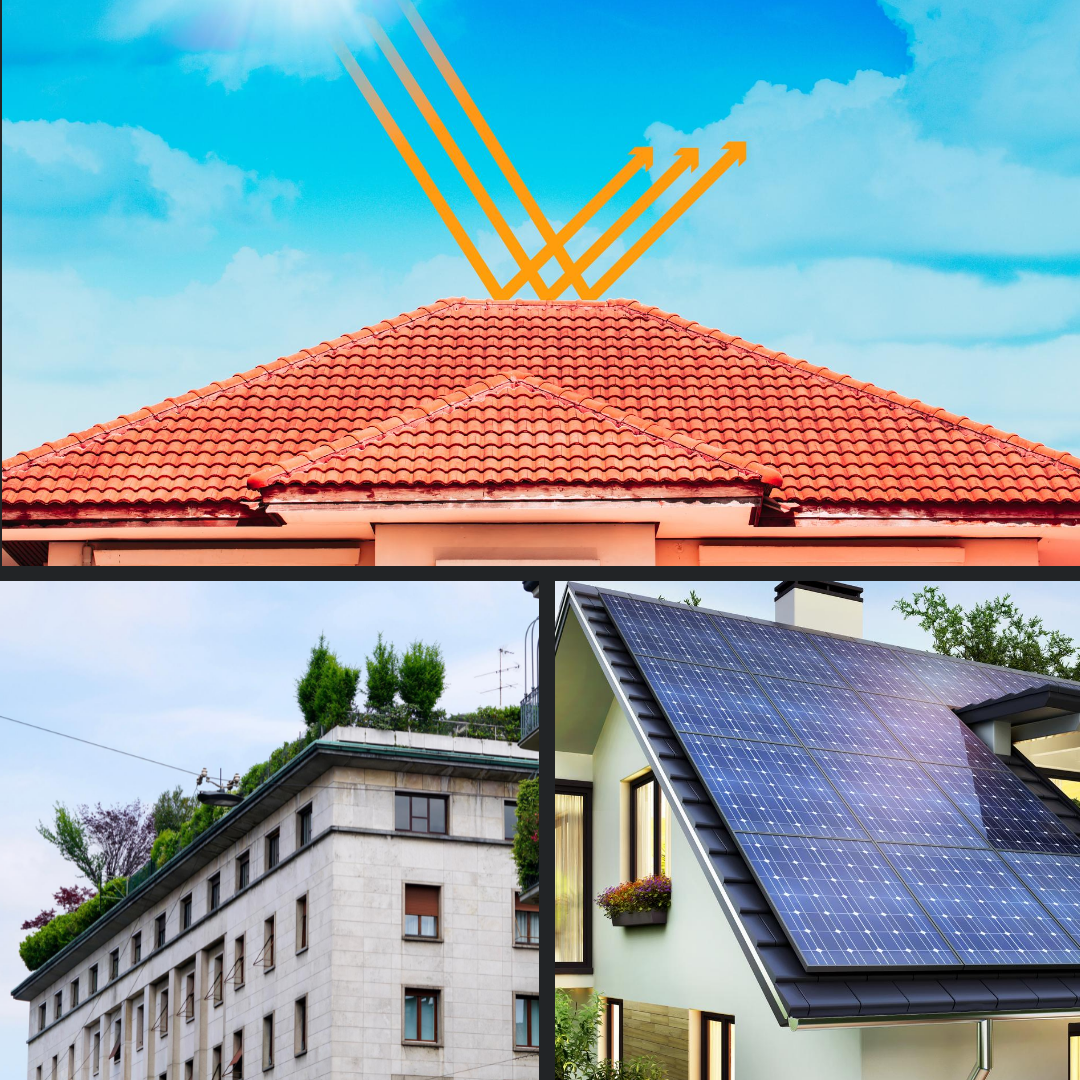 Comparing Cool and Green Roofs, Solar Panels | Epic Energy